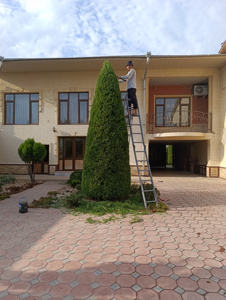 Богбончилик хизматлари