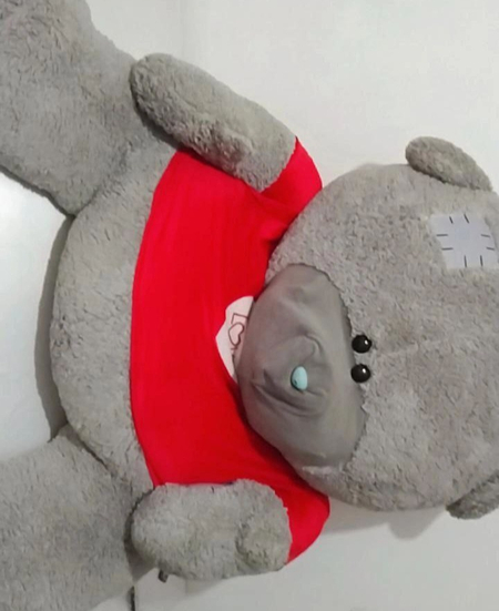 Teddy ayiq  Katta