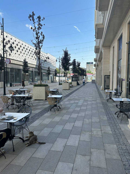 Аренда Коммерческая недвижимость ЖК Ташкент сити Boulevard  110м2