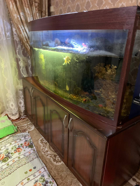Akvariun sotiladi