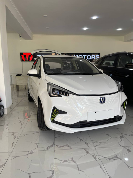 Changan BENBEN 100%elktro