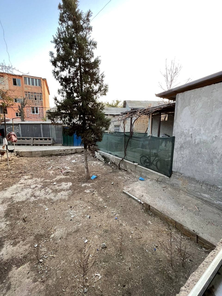 2 xonalik arzonga  Amir Temur