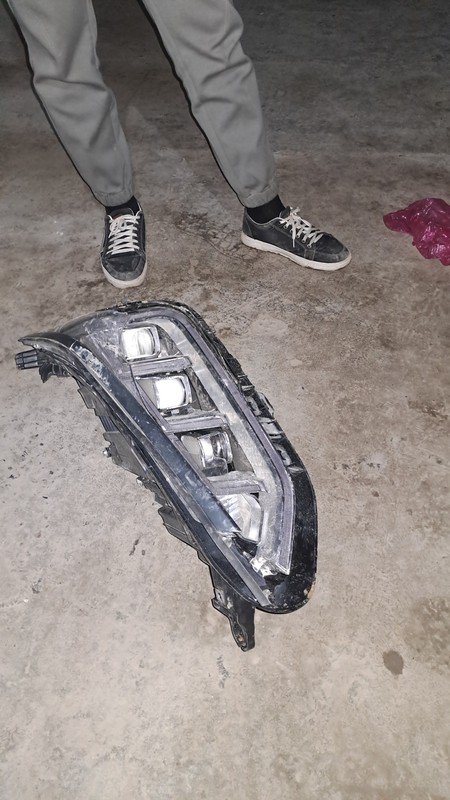 Byd farasi sotiladi.