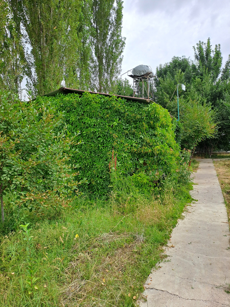 Рыбное хозяйство