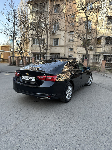 Malibu 2 2.4 otmasferniy kraskasi tozza 100%