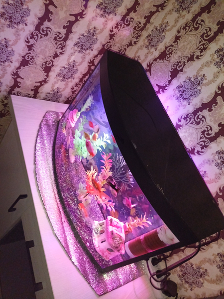 Akuvarium 70 litr