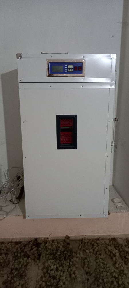 Inkubator aparati