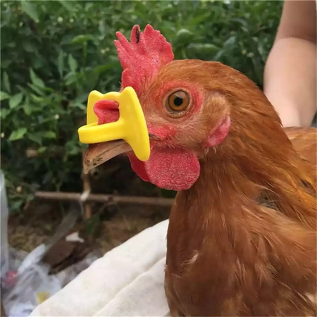 Ниппельные поилки для птиц
