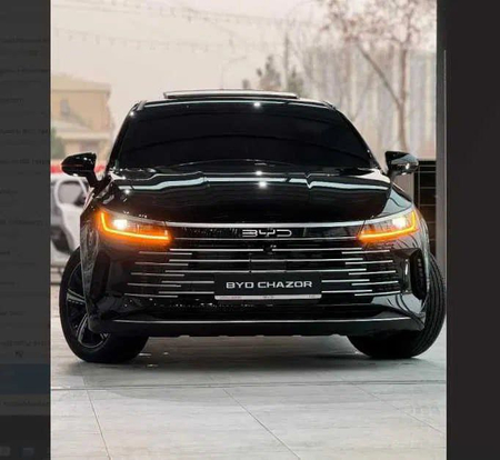 BYD Chazor Comfort 120km