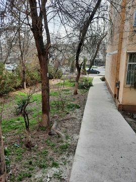 Своя 4х комнатная под офис, массив Феруза напротив Согдианы