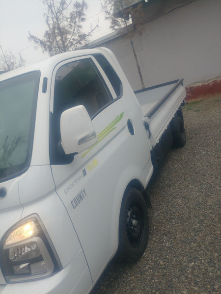 Hyundai porter ev