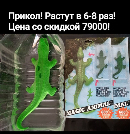 Прикол! Крокодилы растущие в воде в 6-8 раз,Тайвань.