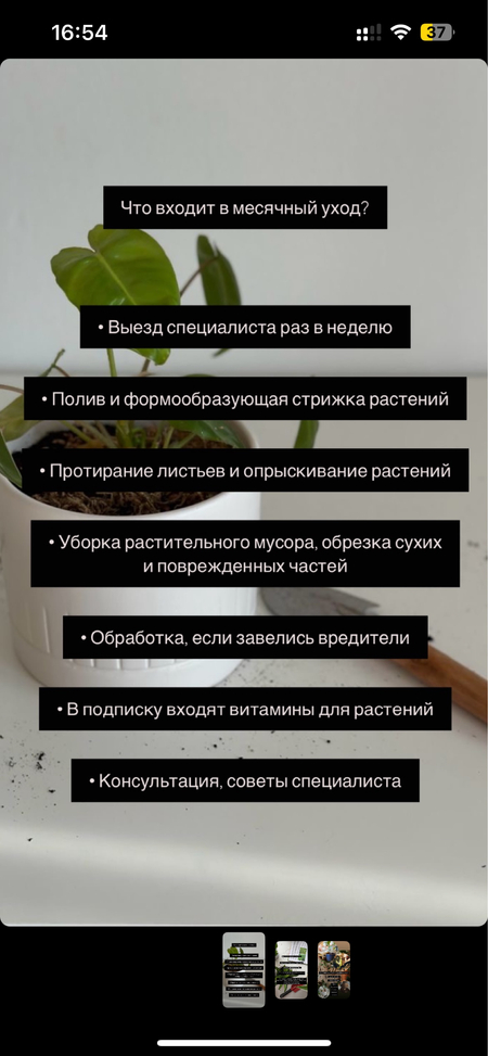 услуги флориста флорист хизматлари