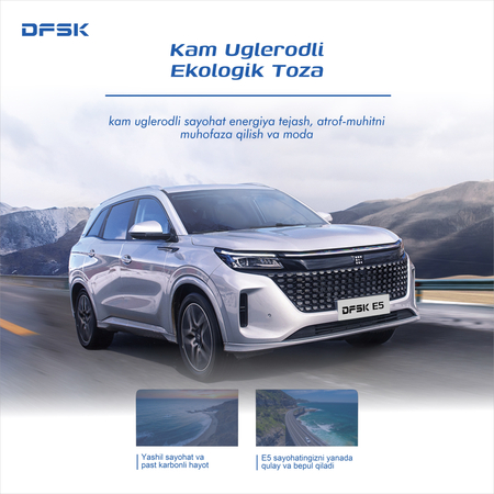 Dongfeng Fengon s508 EVR