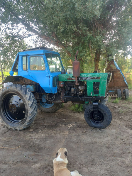 Mtz 80 sotiladi Buxoro viloyati