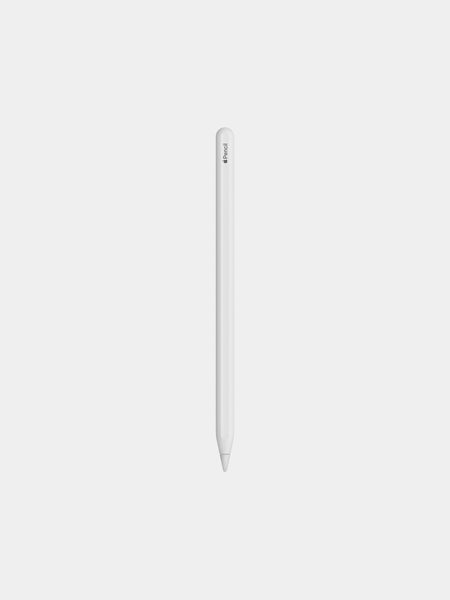 Apple Pencil, barcha IPad modellari uchun qalam