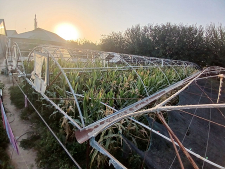 Issiq xona 6 sotix 20m ga 30 m
