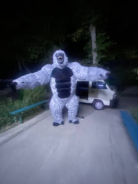 Gorilla sotiladi