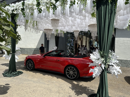 Аренда прокат Ford Mustang cabriolet кабриолет