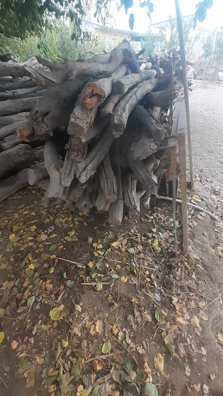 Курук отин сотилади