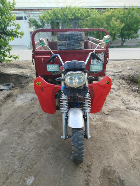 Keliwtrp bera ms