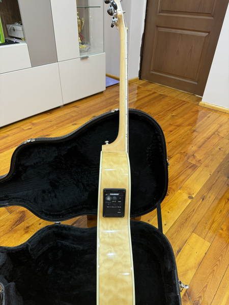 Легендарный Washburn EA20 SDL