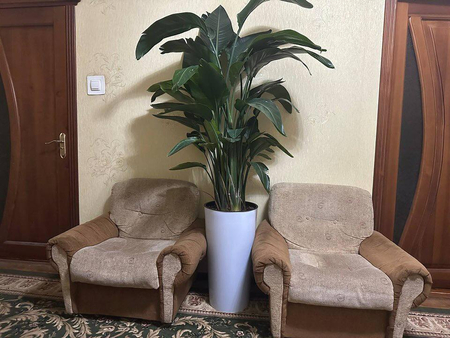 1 Диван и 2 кресла срочно