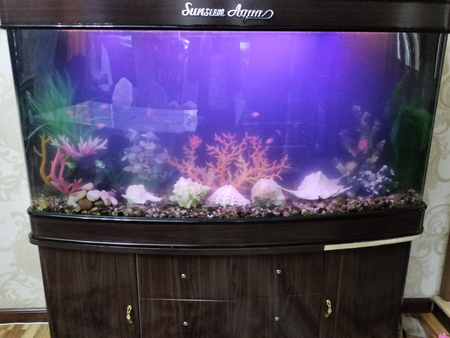 akvarium tozalash chiska ustanovka