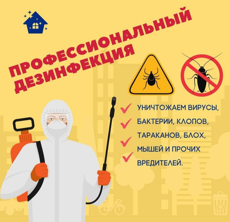 Дезинфекция от клопов и тараканов и других вредителей 100% гарантия
