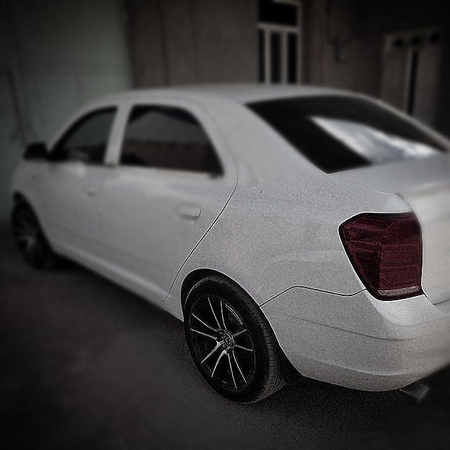 Vossen diska balon 17 lik