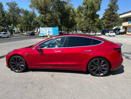 Tesla Model 3 Performance