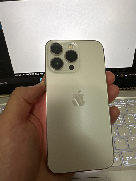 iphone 13 Pro ideal