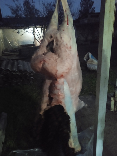 Qassob hizmati toshkent shaxri boylab