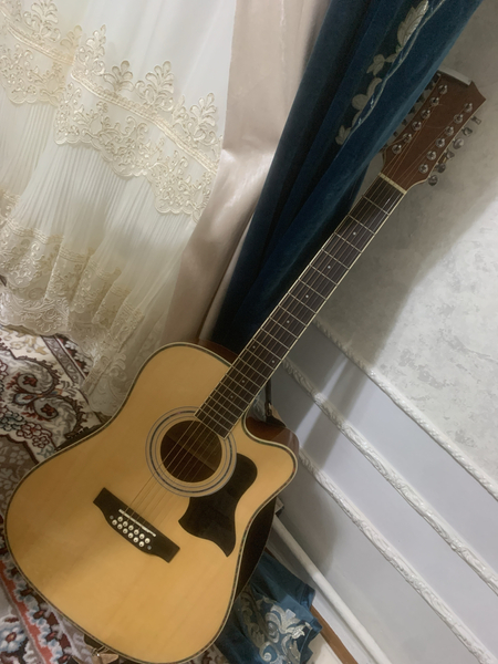 Gitara 12 struna ekvalayzirli