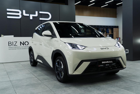 BYD SEAGULL 405km Flying