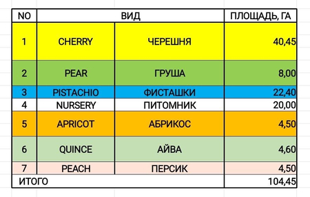 Сад 122 гектара Ташкентская область Пскент