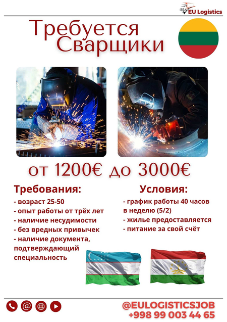 Специалисты в области строительных работ(Работа в Европе)