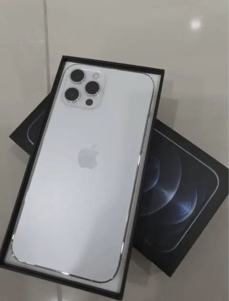 iPhone 12 pro max