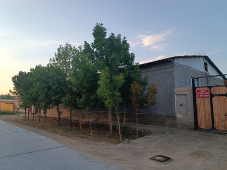 Продается дом 8 соток Ор-р: Гор. отдел