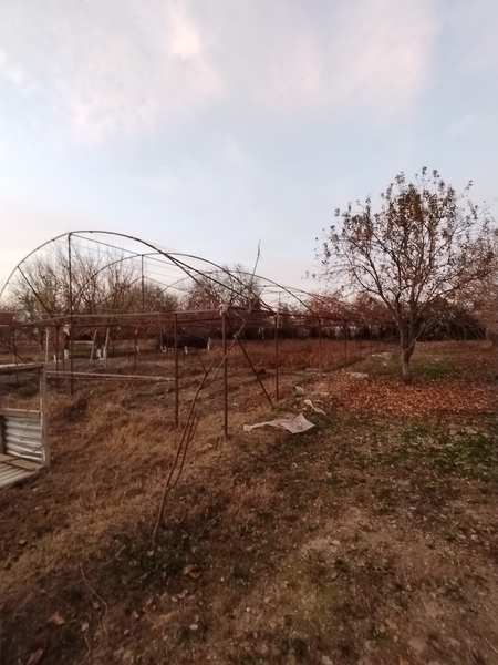 Иссикхона. 2 сотих