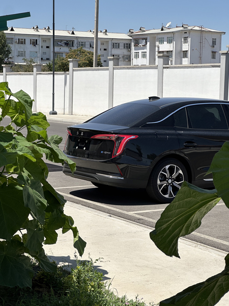 Hongqi E-QM5, 450km birinchi qo’l