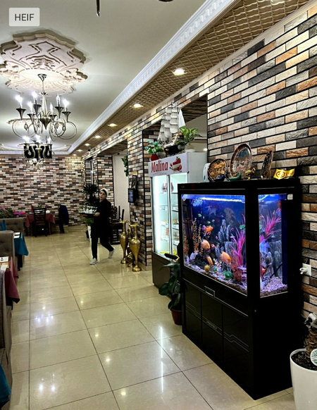 Готовое кафе на Алгоритме