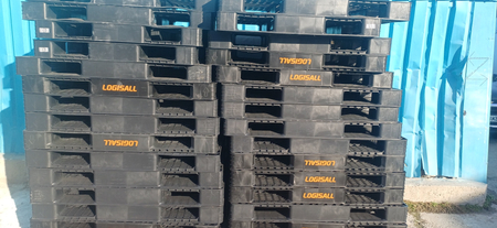 Export uchun maxsus paddonlar