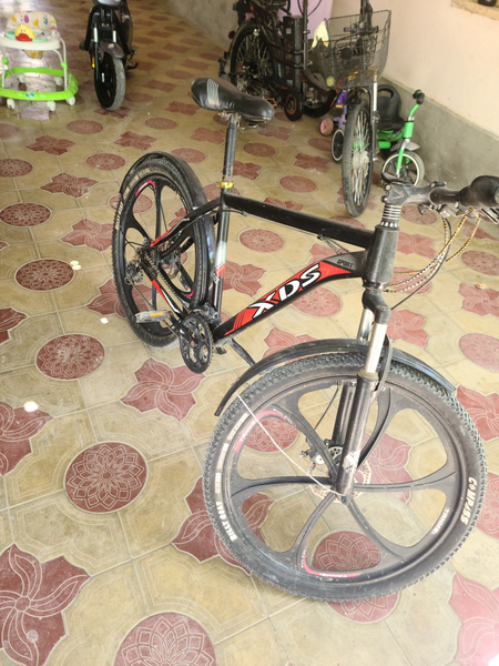 Veloseped gonchik