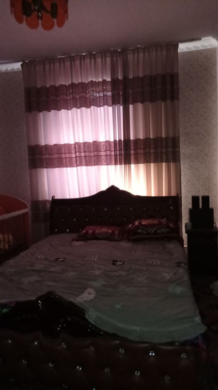 Qiziltepa Kotej sotiladi malikabot 227