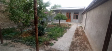 Аренда Дом участка на Чигатой Макро Шайхантахур район