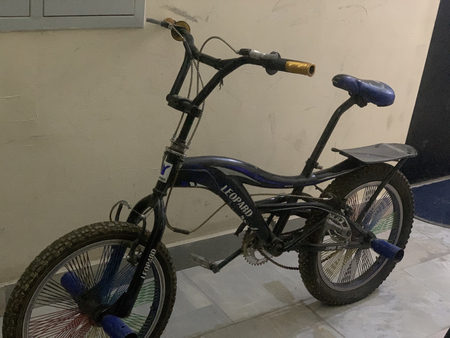 Velik puma koʻk rangda.