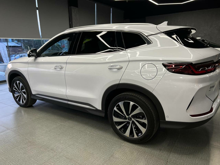 Byd chempion nalicha