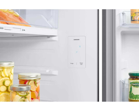 Холодильник Samsung RT42CG6420S9WT