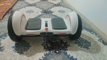 Rans Rover Girabord